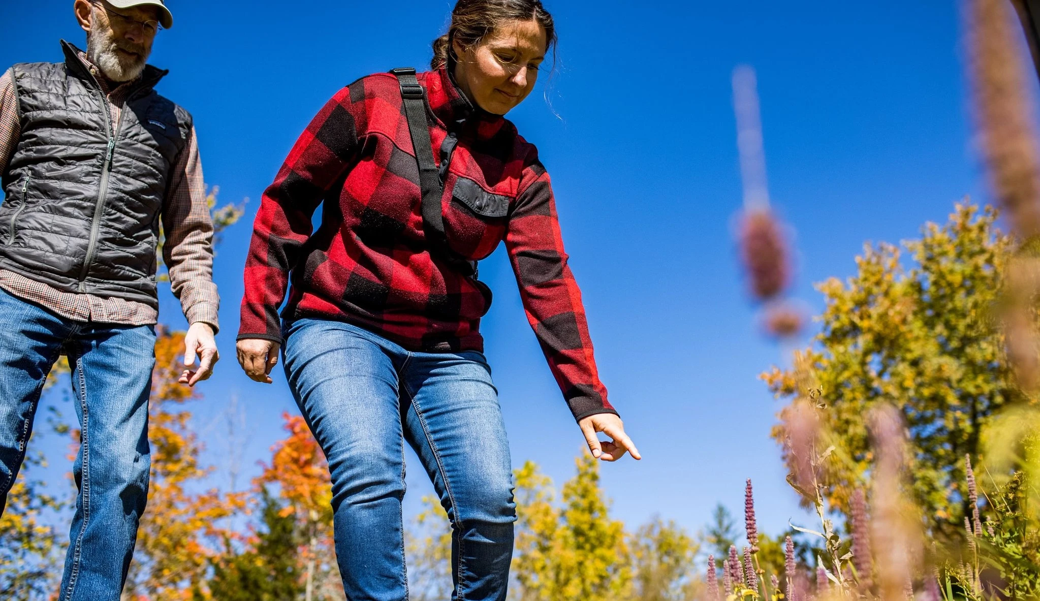 Foraging in Wisconsin: Find Wild Edibles | Travel Wisconsin
