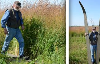 Knowles Creek Impoundment & Interpretive Trail | Travel Wisconsin
