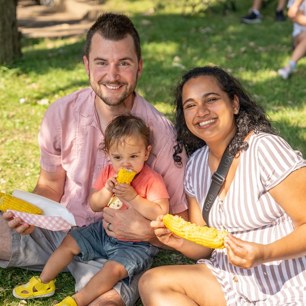 Top Spots for Wisconsin Waterfalls | Travel Wisconsin