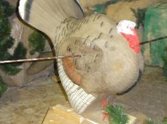 Southwest | Cities & Regions | Travel Wisconsin