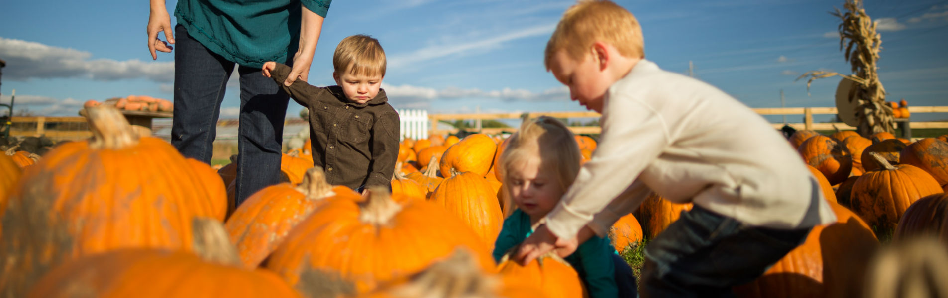Family Farms for Fall Fun | Travel Wisconsin