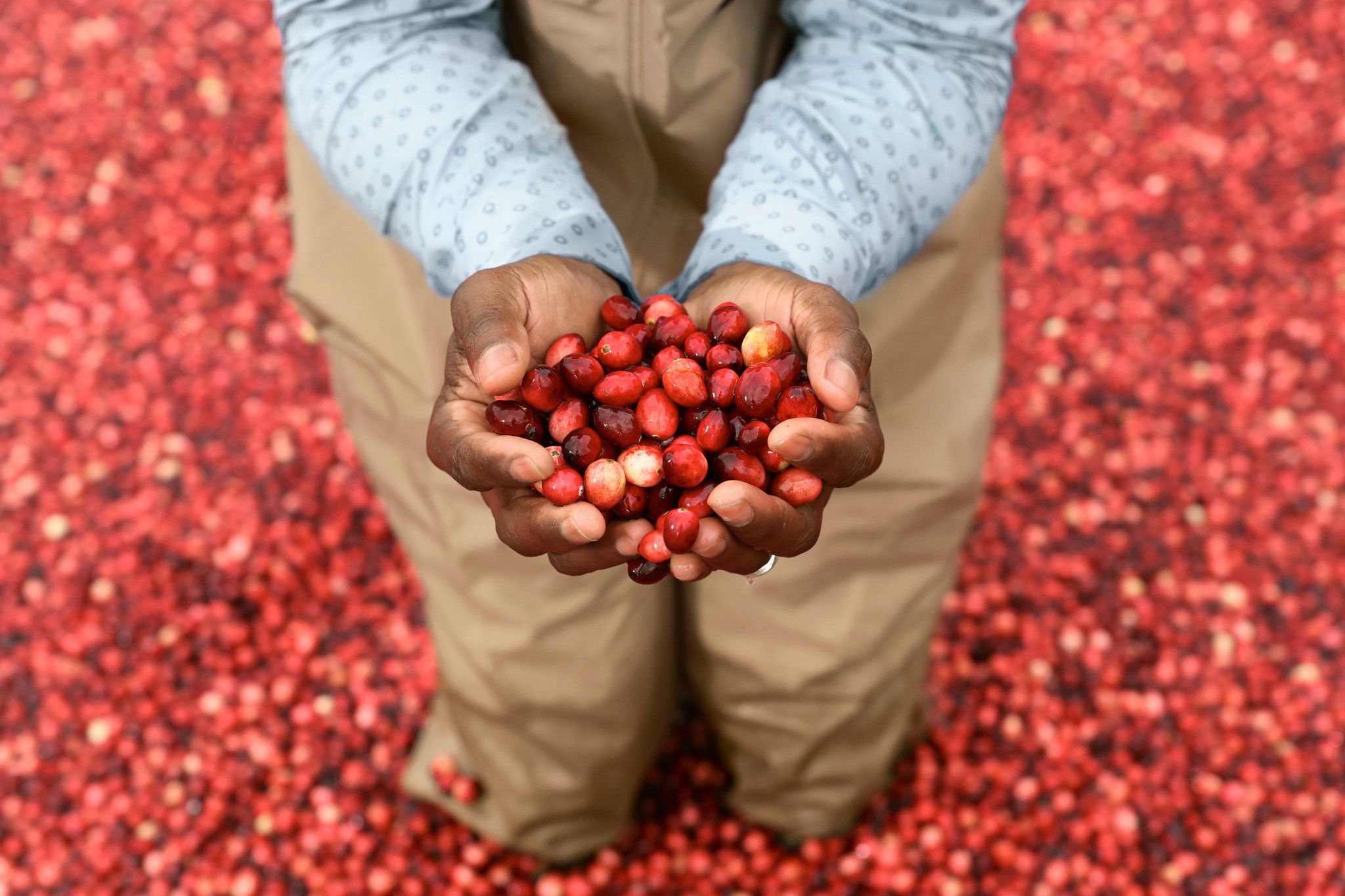 10 Things to Do in the Fall | Travel Wisconsin