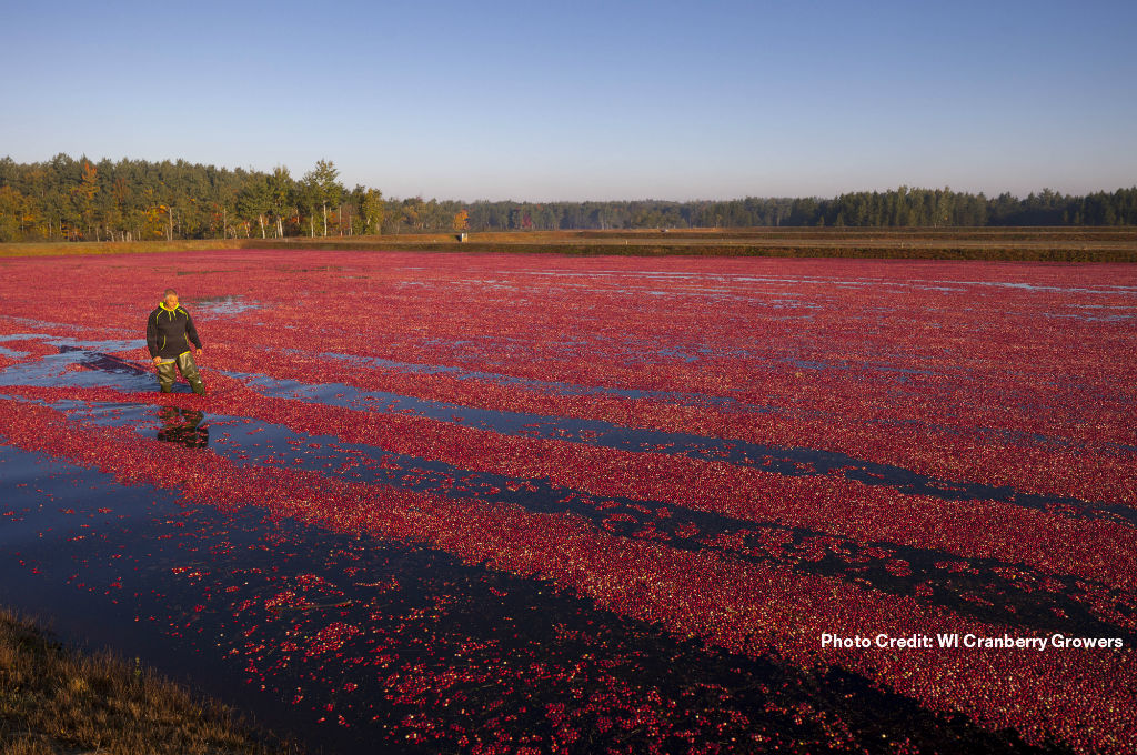 Scenic Drives for Fall Colors - WI South | Travel Wisconsin