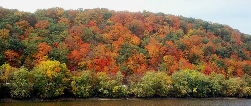 Scenic Drives for Fall Colors - WI South | Travel Wisconsin