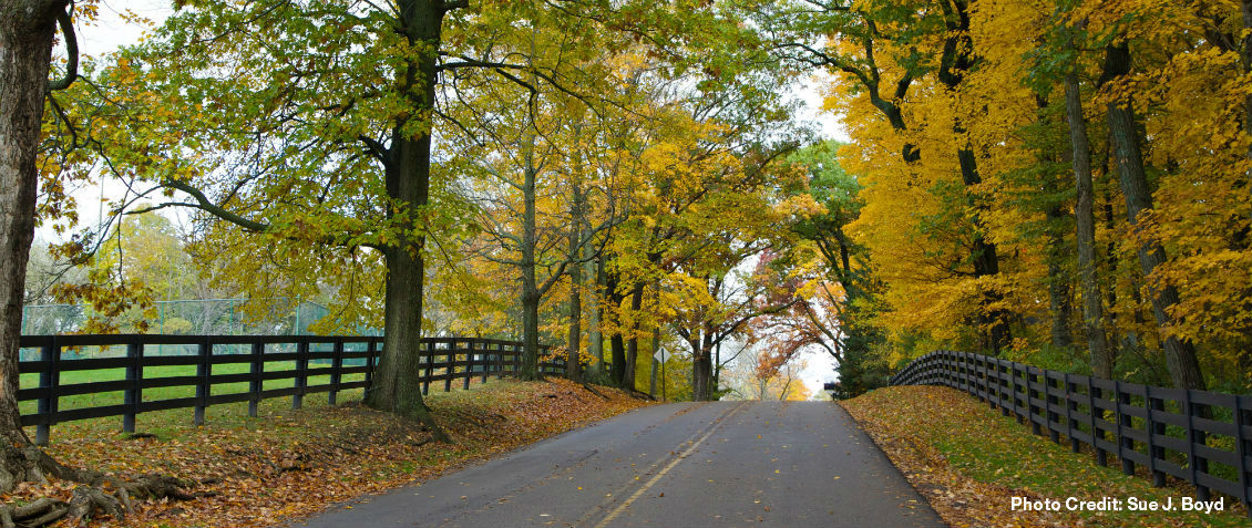 Scenic Drives for Fall Colors - WI South | Travel Wisconsin