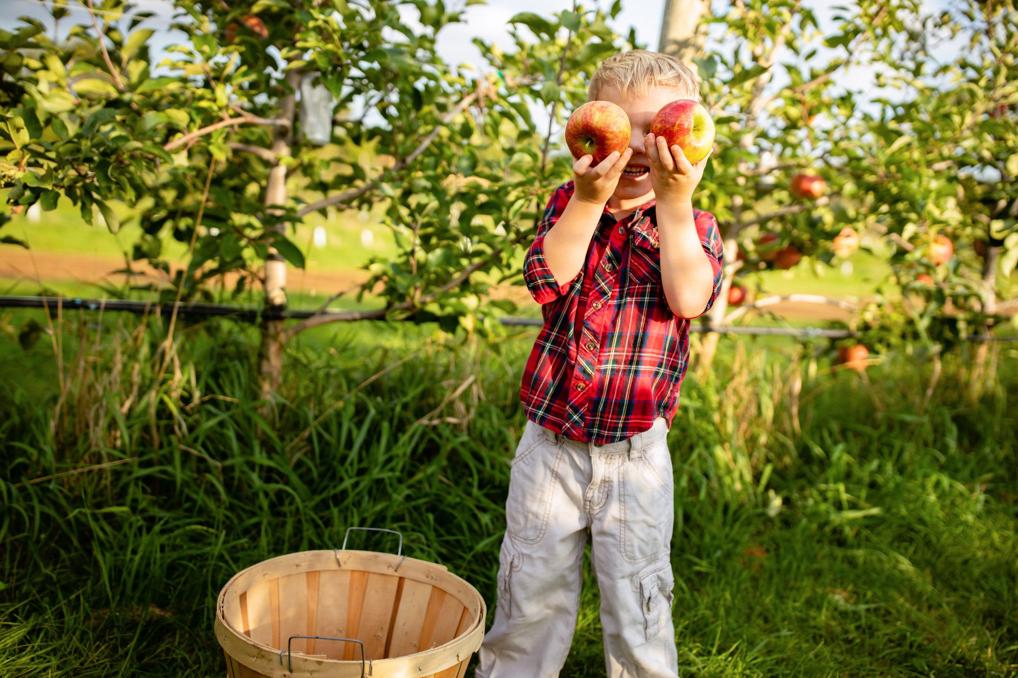 Taste Fall Flavors at Harvest Festivals | Travel Wisconsin
