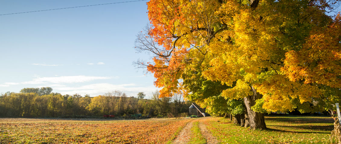 Scenic Drives for Fall Colors - WI South | Travel Wisconsin
