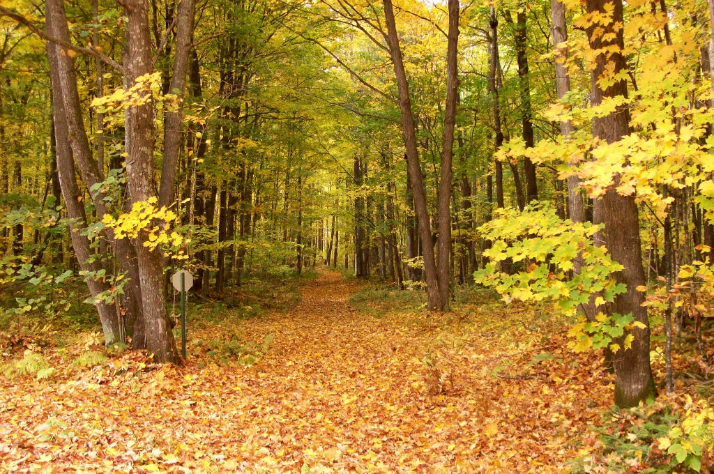 Scenic Drives for Fall Colors - WI North | Travel Wisconsin