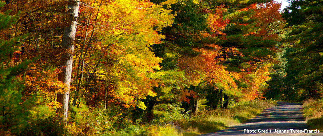 Scenic Drives for Fall Colors - WI South | Travel Wisconsin