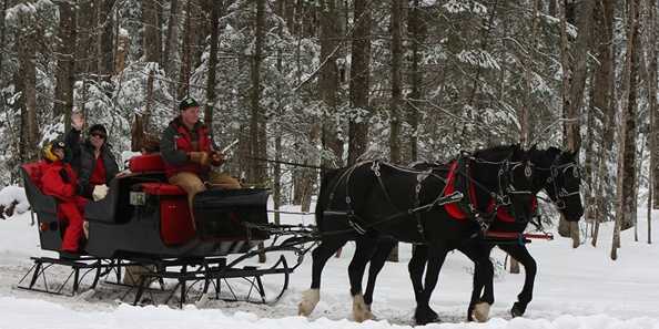Rocking W Stables | Travel Wisconsin