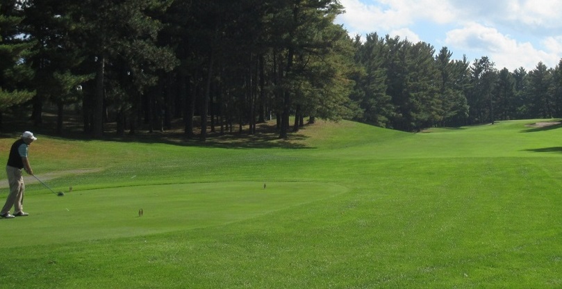 Bullseye Golf Club | Travel Wisconsin