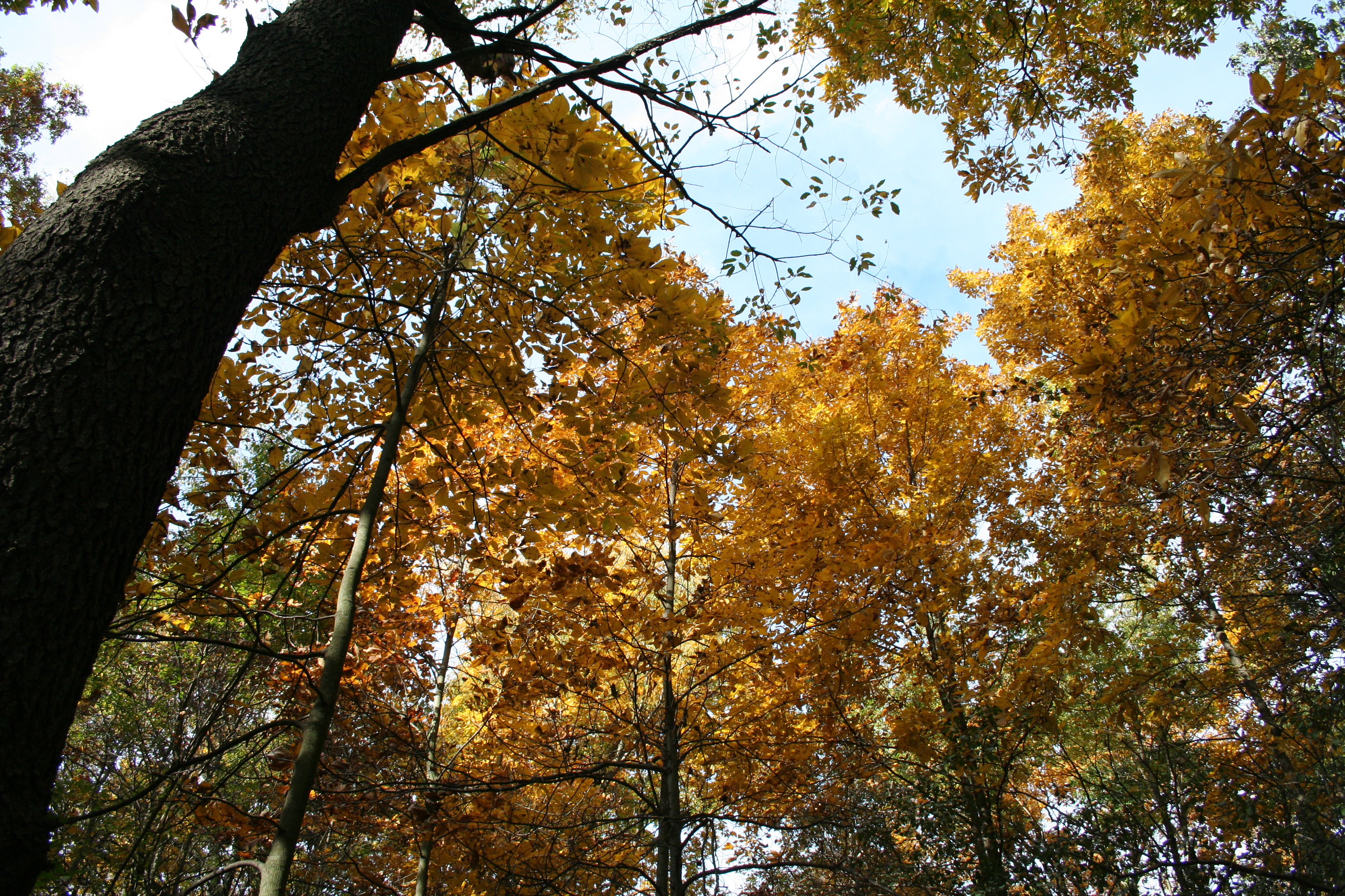 Prairie Springs Park | Travel Wisconsin