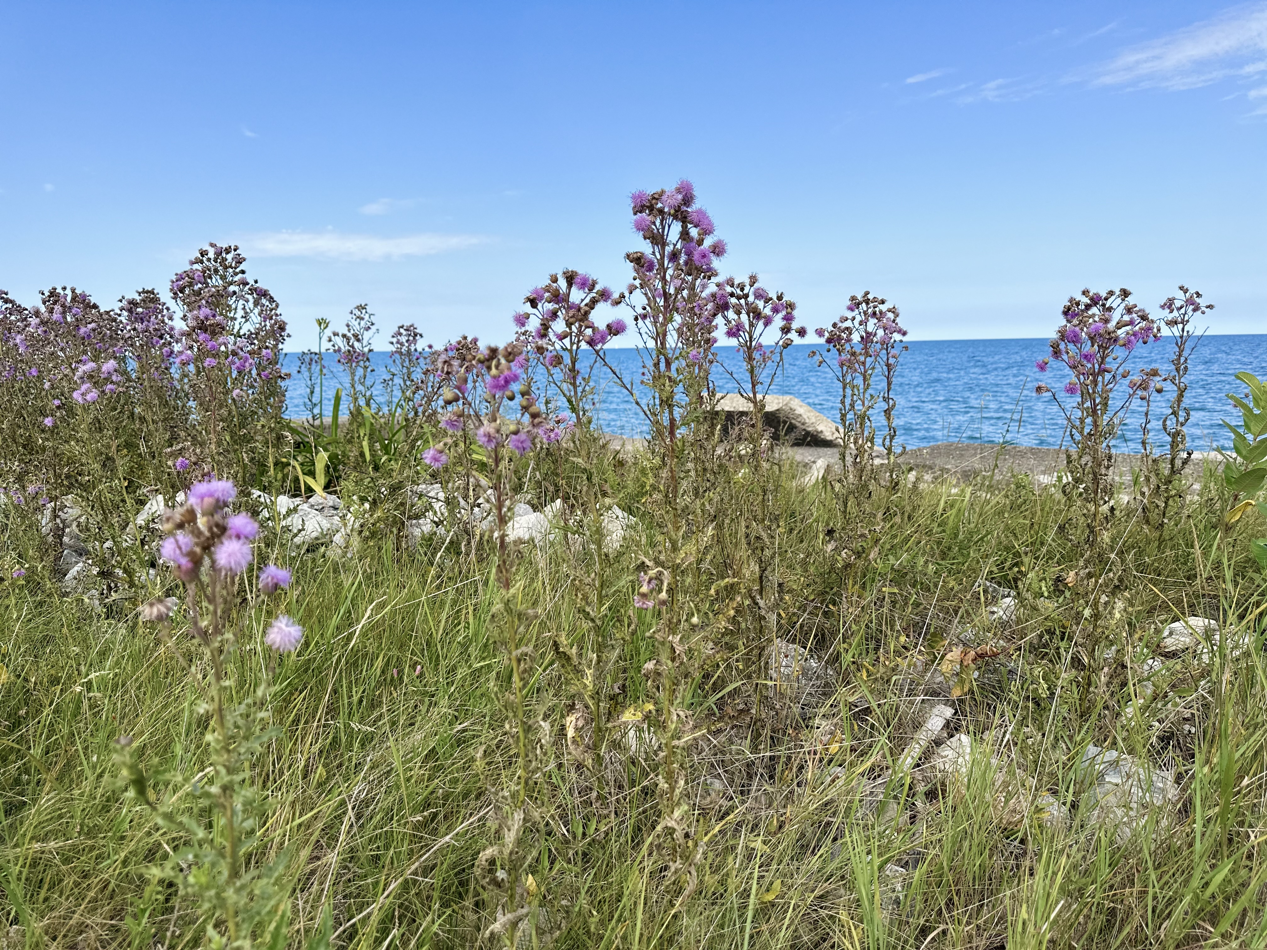 Chiwaukee Prairie & Kenosha Sand Dunes | Travel Wisconsin