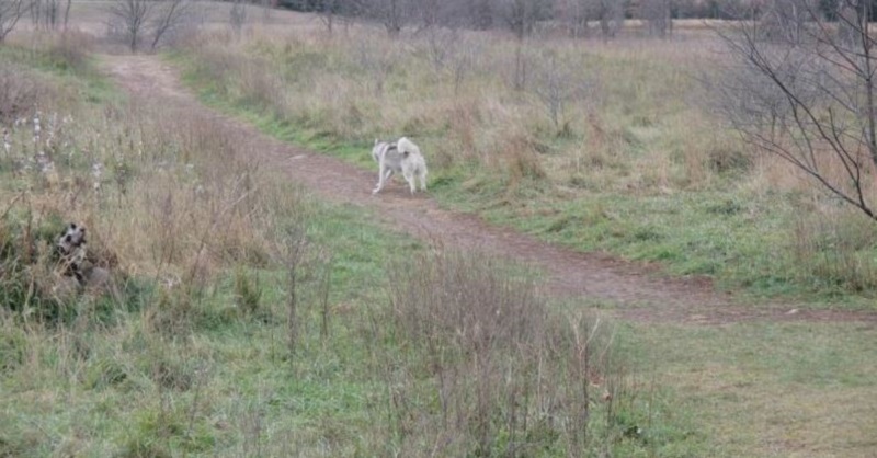 Standing Rocks County Park | Travel Wisconsin