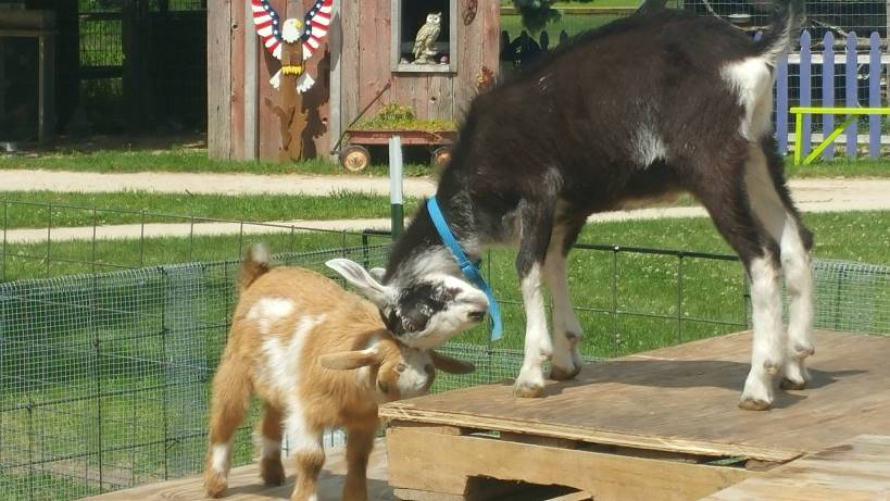 Cristo Rey Ranch | Travel Wisconsin
