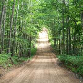 ATV Trails in Northwest Wisconsin | Trip Planner | Travel Wisconsin