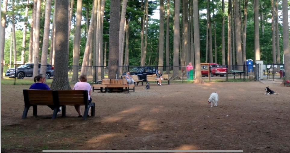 Shepard Dog Park | Travel Wisconsin