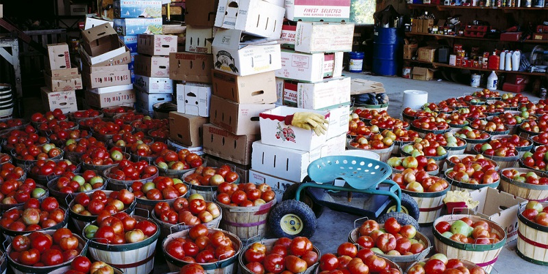 Witte's Vegetable Farm. LLC | Travel Wisconsin