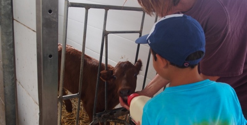 Valley Springs Farm Bed & Breakfast | Travel Wisconsin