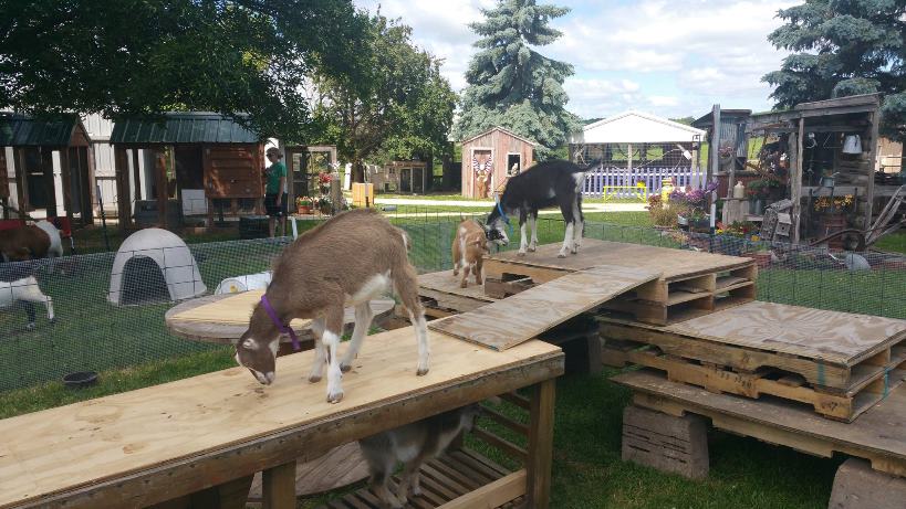 Cristo Rey Ranch | Travel Wisconsin