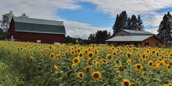 Brantwood Lodge | Travel Wisconsin