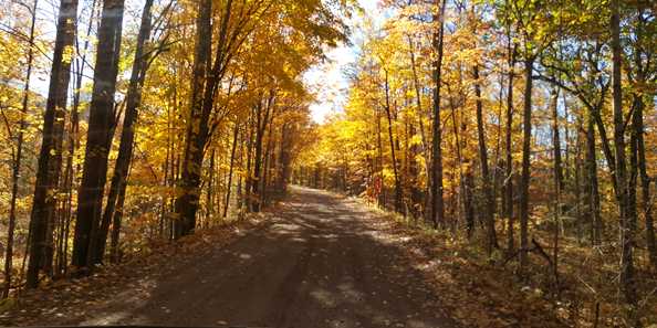 Oconto County ATV/UTV Trails | Travel Wisconsin