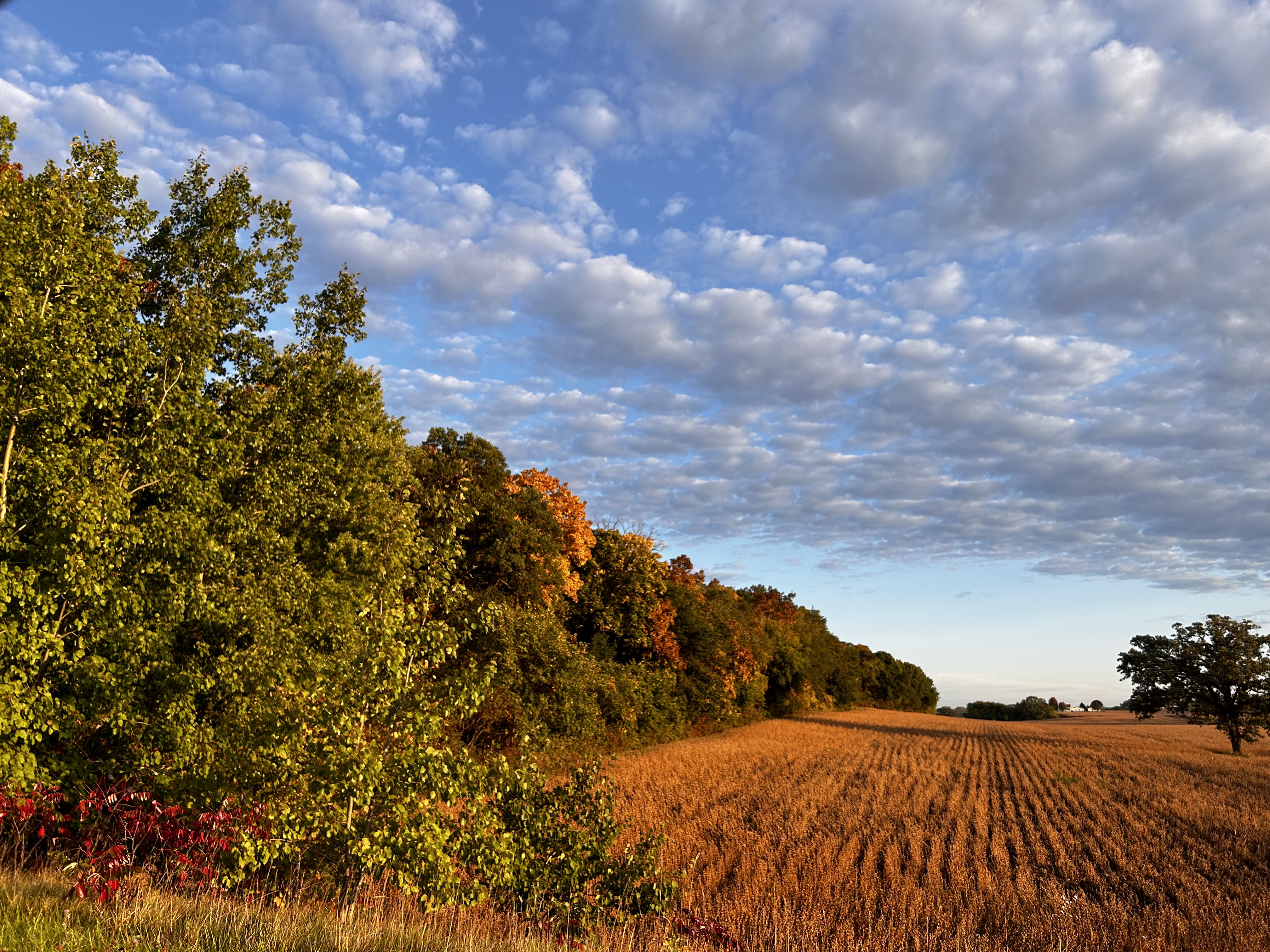 Dodge County Visitor Information | Travel Wisconsin