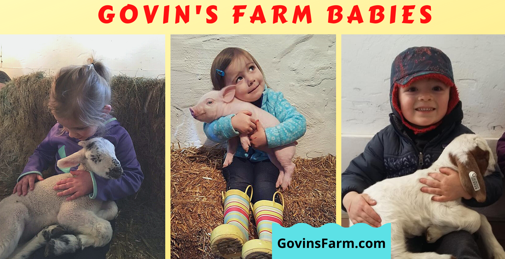 Govin's Farm | Travel Wisconsin