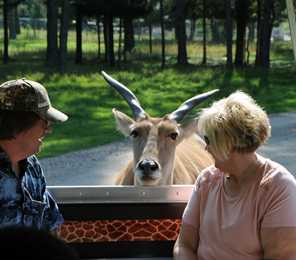 Zoos in Wisconsin | Travel Wisconsin