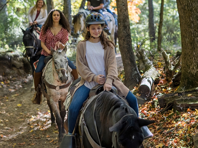 Horseback Riding in Wisconsin | Travel Wisconsin