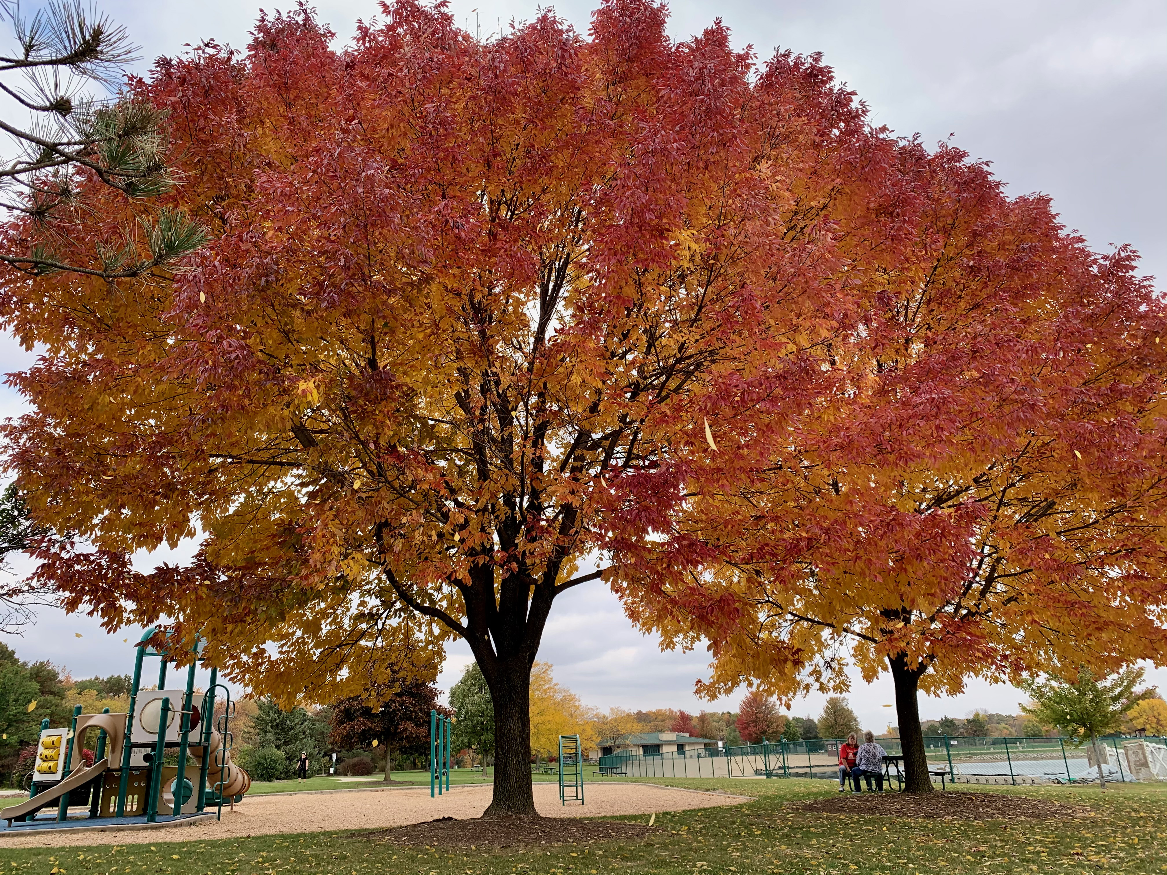 Prairie Springs Park | Travel Wisconsin