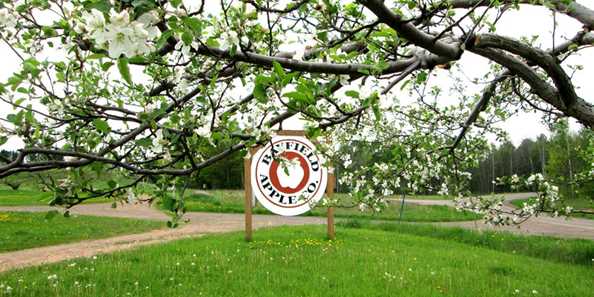 Bayfield Apple Company | Travel Wisconsin