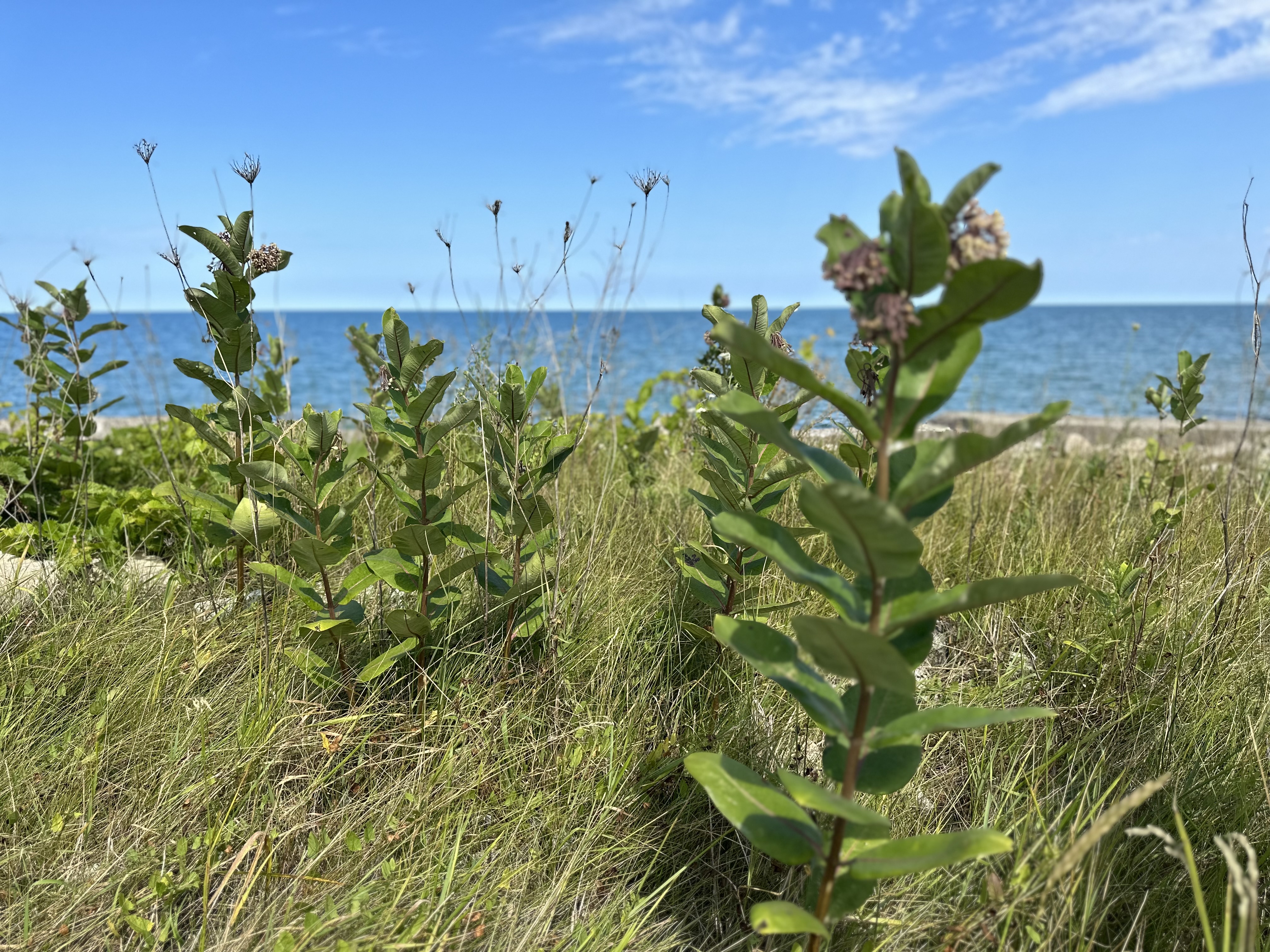 Chiwaukee Prairie & Kenosha Sand Dunes | Travel Wisconsin