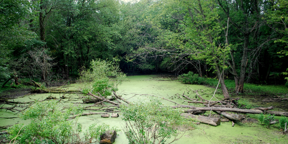 Avon Bottoms | Travel Wisconsin