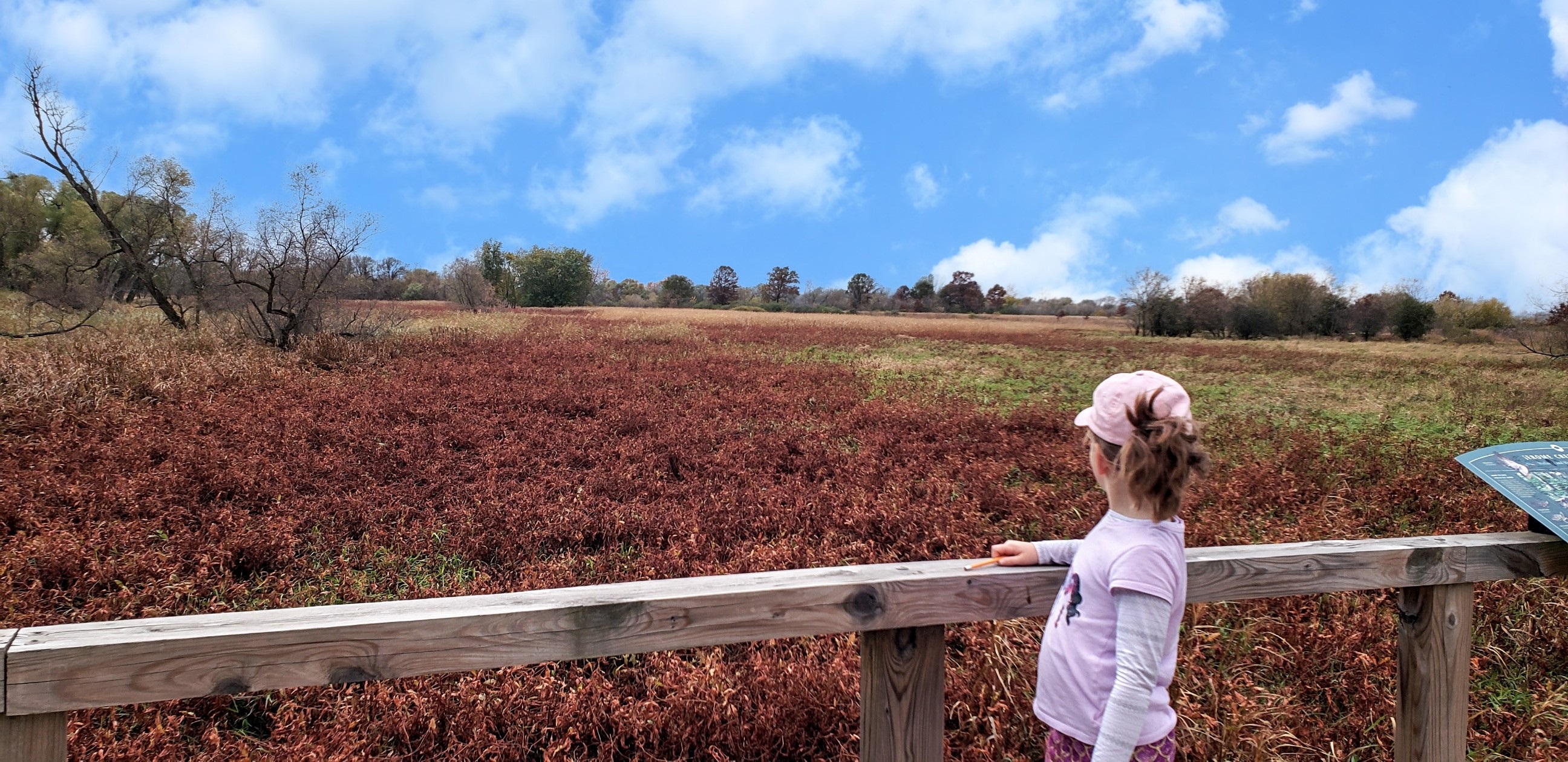 Donald Hackbarth Trail | Travel Wisconsin