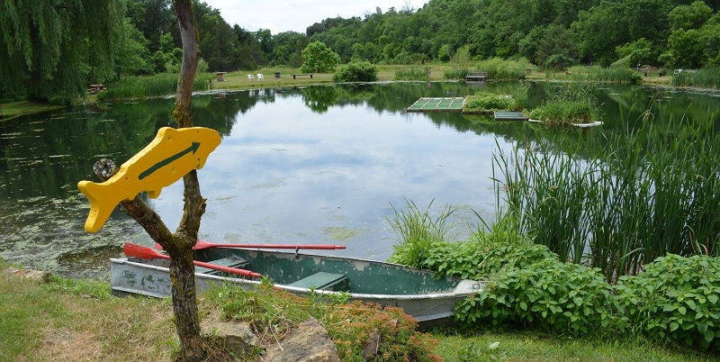 Jeremiah's Bullfrog Fish Farm - Eat My Fish | Travel Wisconsin