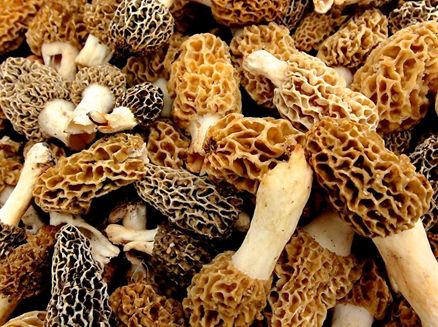 Lodi, WI | Hotels & Things to Do | Travel Wisconsin