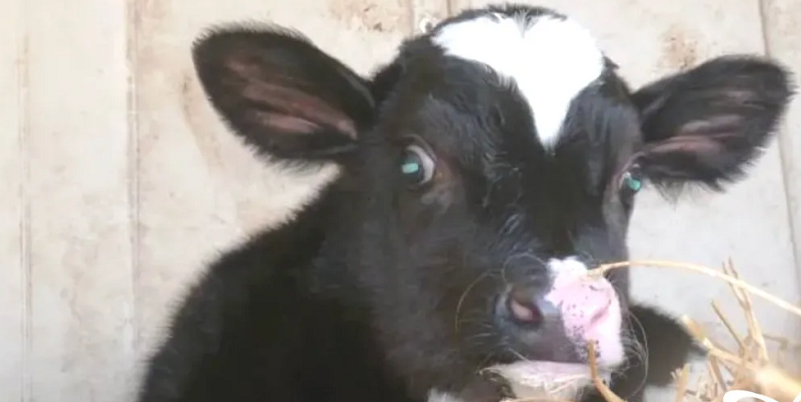 Daluge Farm | Travel Wisconsin