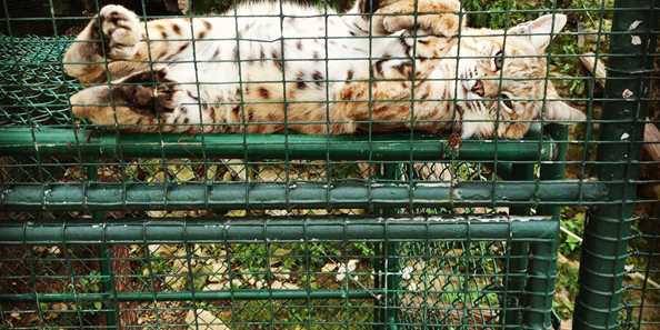 Bruemmer Park Zoo | Travel Wisconsin