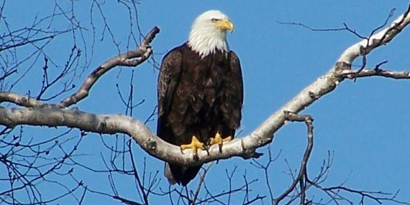 Explore Cassville | Travel Wisconsin