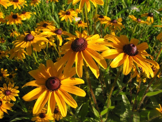 County Parks in WI | Travel Wisconsin