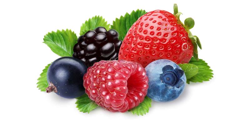 Horst Berry Patch | Travel Wisconsin