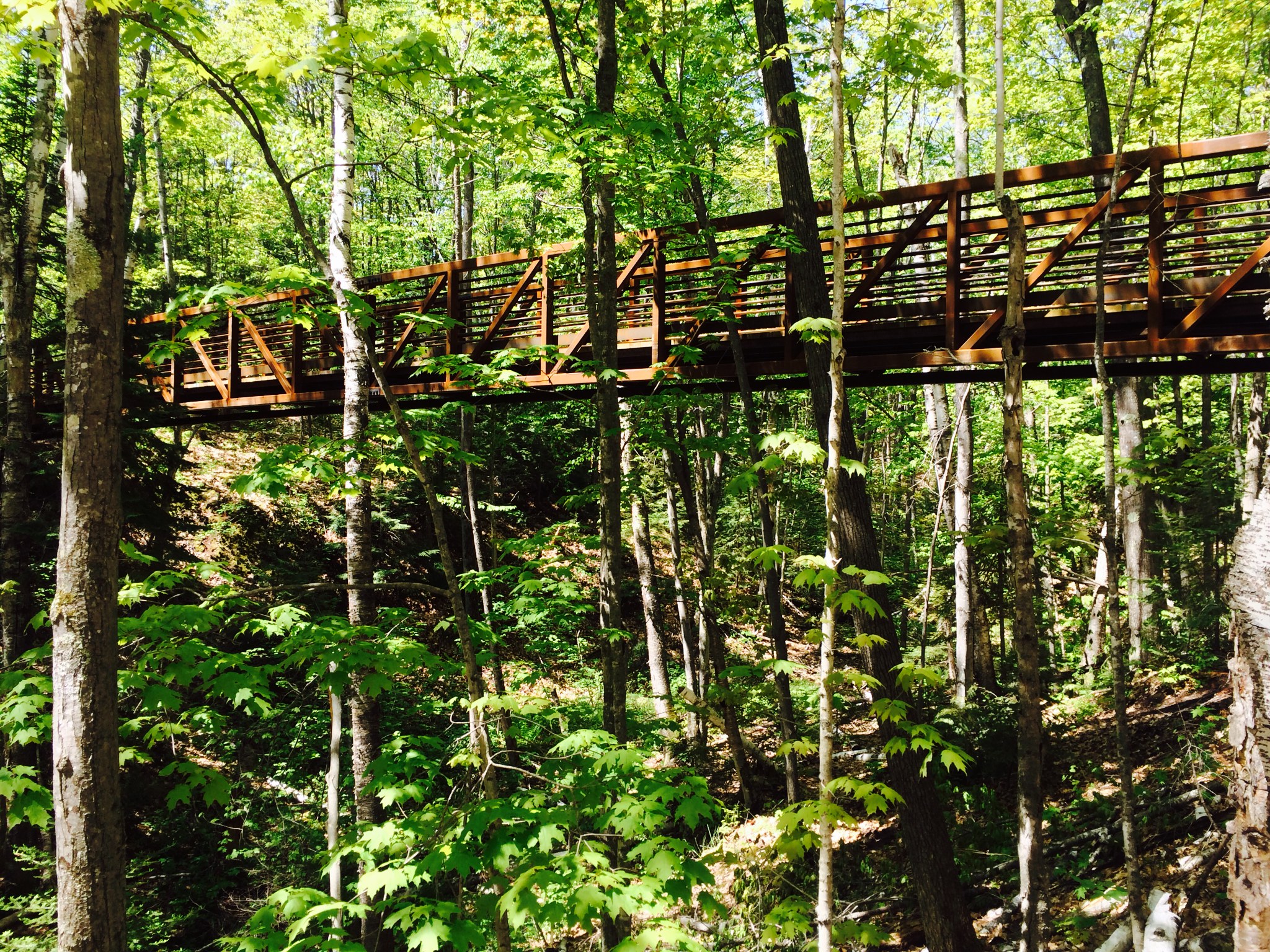 Frog Bay Tribal National Park | Travel Wisconsin