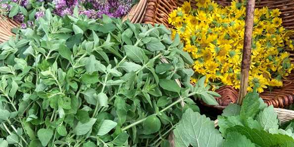 Sweet Fern Apothecary | Travel Wisconsin