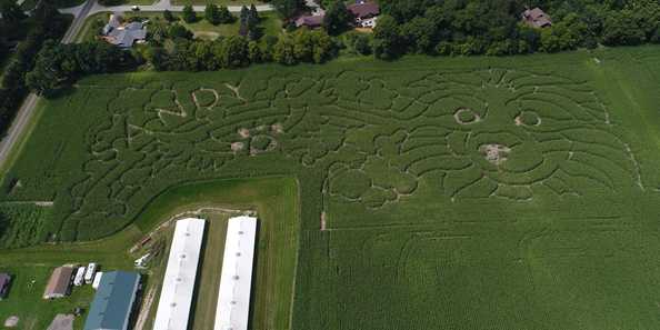 Mayr Family Farms Corn Maze | Travel Wisconsin